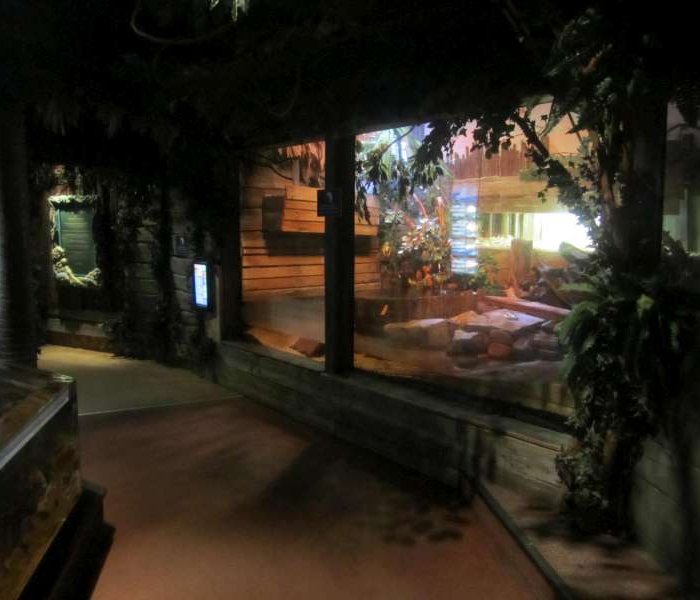 Themeparkzoo - Sea Life Scheveningen, aquarium in The Netherlands