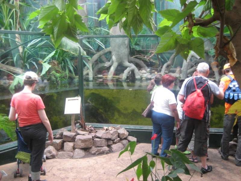 Themeparkzoo - Ouwehands Dierenpark (Rhenen), dierentuin en zoo in ...