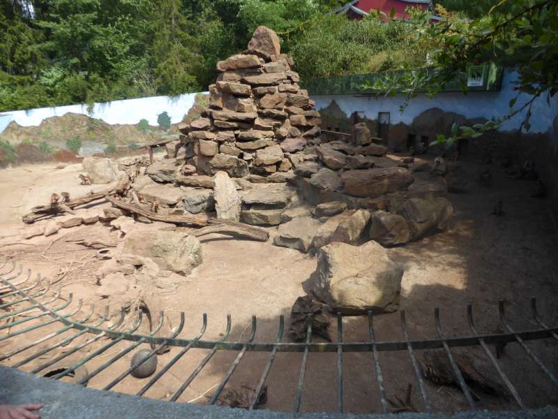 Themeparkzoo - Neunkircher Zoo, animal park in Neunkirchen in Germany