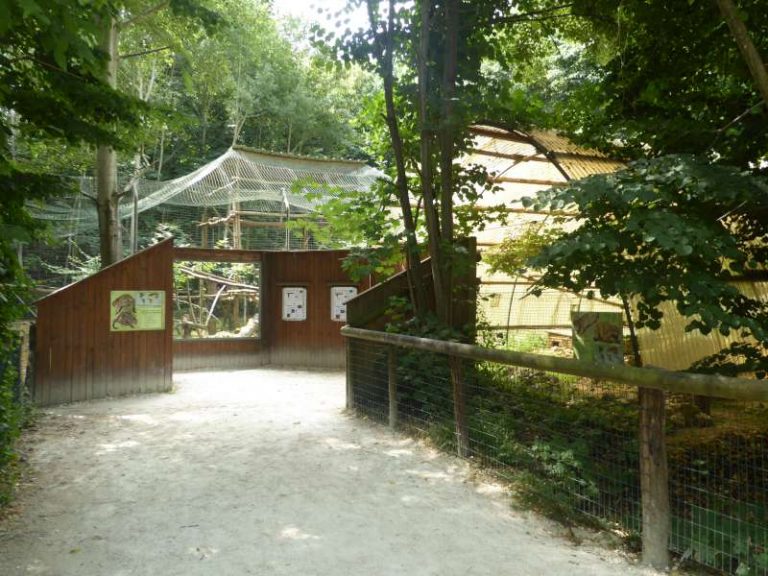 Parc des Félins (Parc zoologique Lumigny) – Themeparkzoo.com
